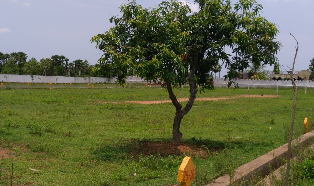 Welcome to Lalitha Projects