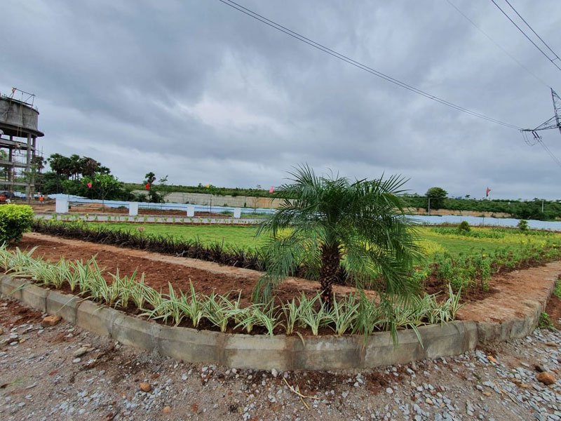 MGR Properties & Constructions