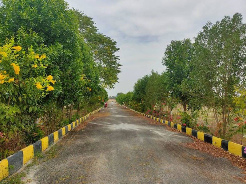 MGR Properties & Constructions